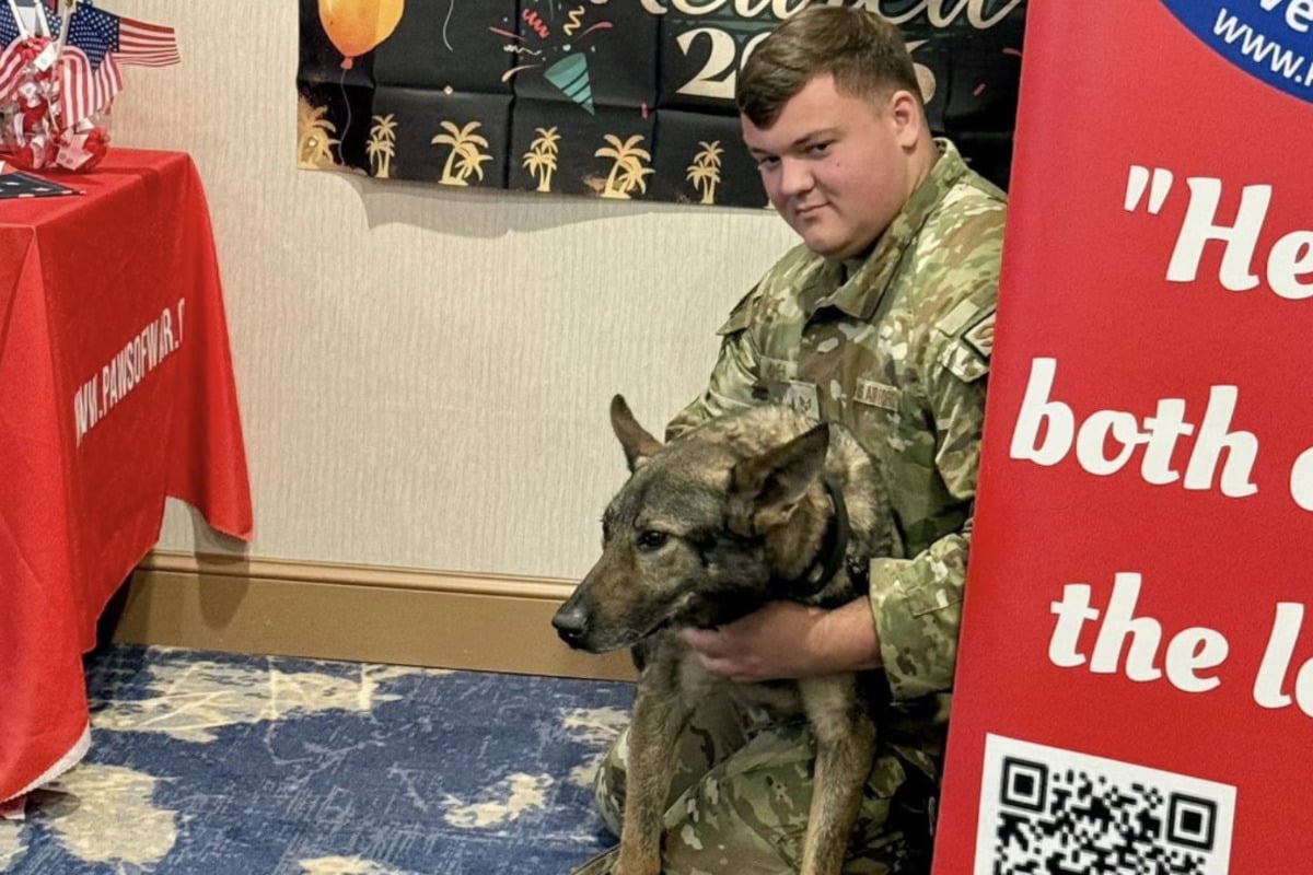Army dog and trainer/handler reunite after years apart – and there's ...