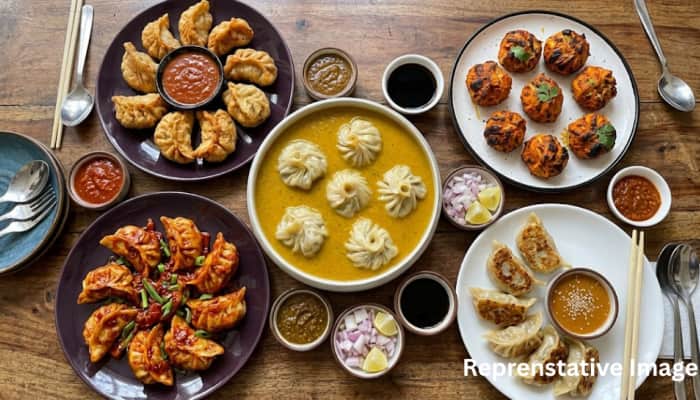 Best Momo Dishes To Order For A Flavorful Craving