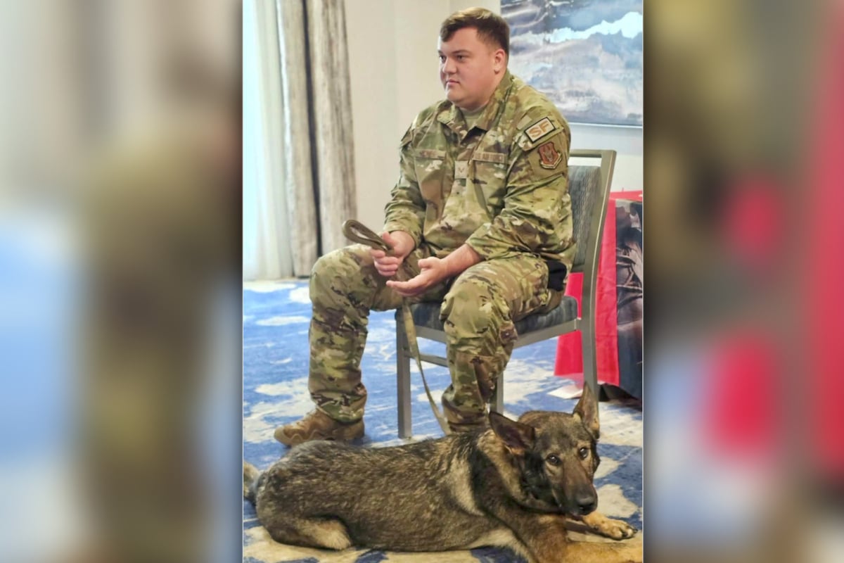 Army dog and trainer/handler reunite after years apart – and there's ...