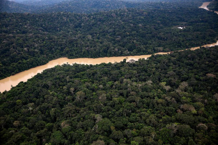 Illegal miners extract billions in Amazon gold despite Brazil crackdown ...