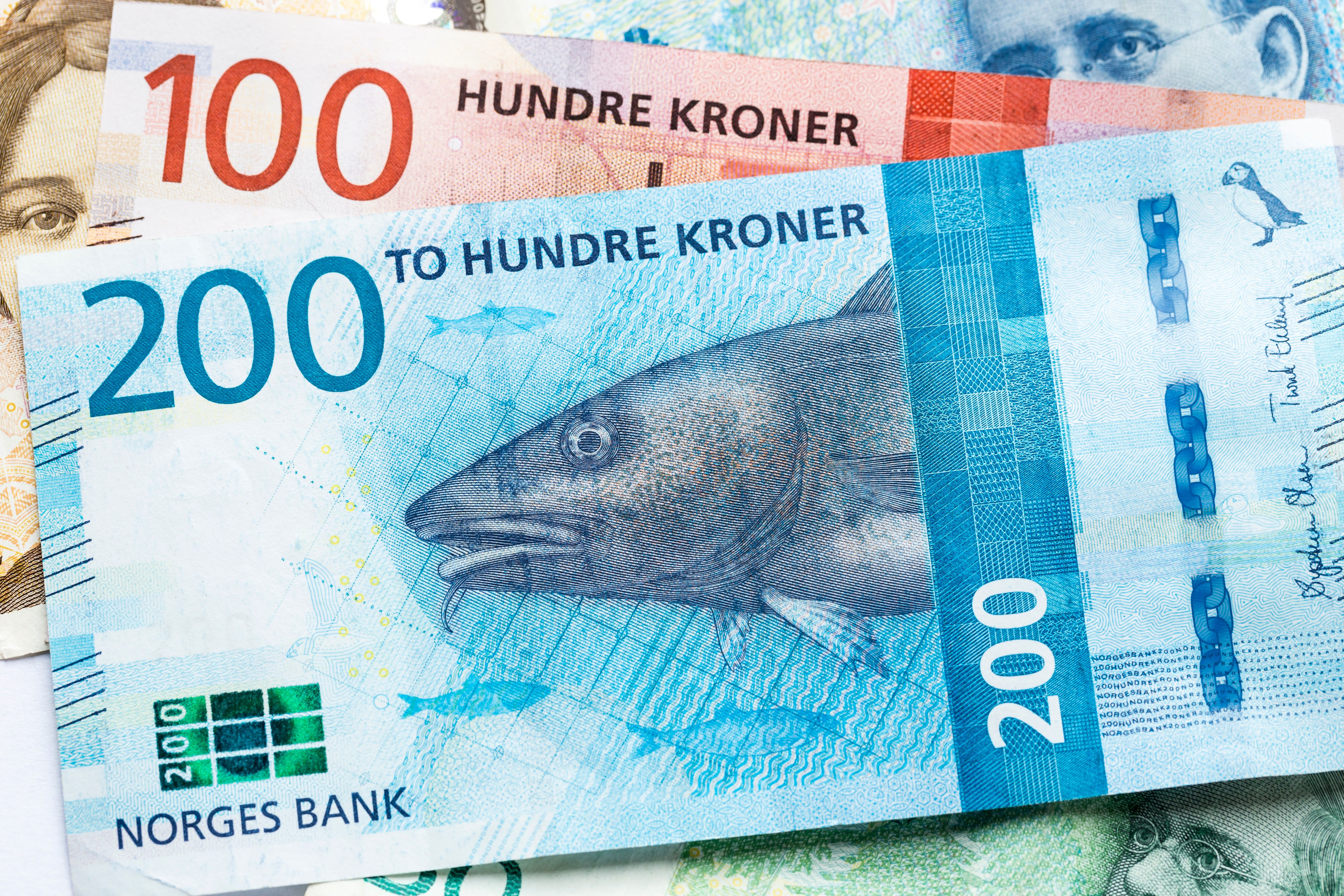 Kurs NOK/PLN 04 czerwca 2026 r.
