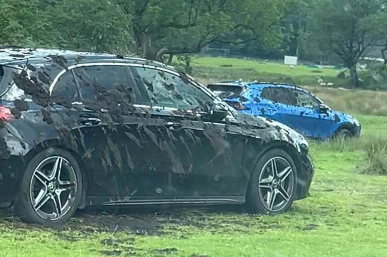 Farmer reportedly sprays slurry over cars parked illegally in field