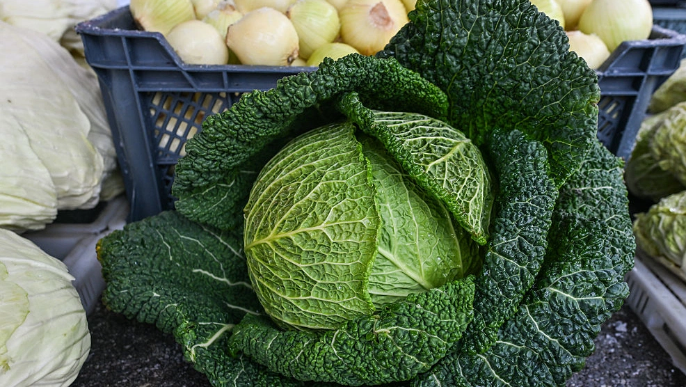 Cabbage love: From kitchen to health boost