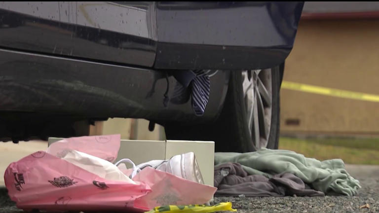 Family IDs woman killed in Chula Vista 'landlord-tenant' homicide case