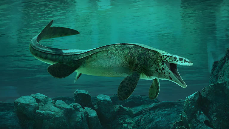 Marine 'T-Rex' species Tylosaurus rex larger than land counterpart