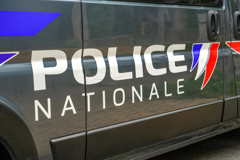 Un youtubeur visé par un vol en réunion avec arme dans les Alpes ...