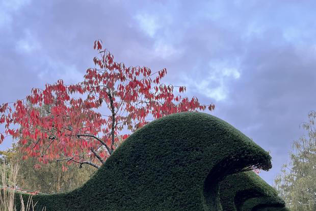 Two Oxfordshire gardeners recognised at topiary awards