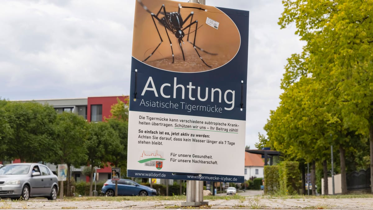 Tigermücken in Bayern: Fallen soll den Vormarsch bremsen
