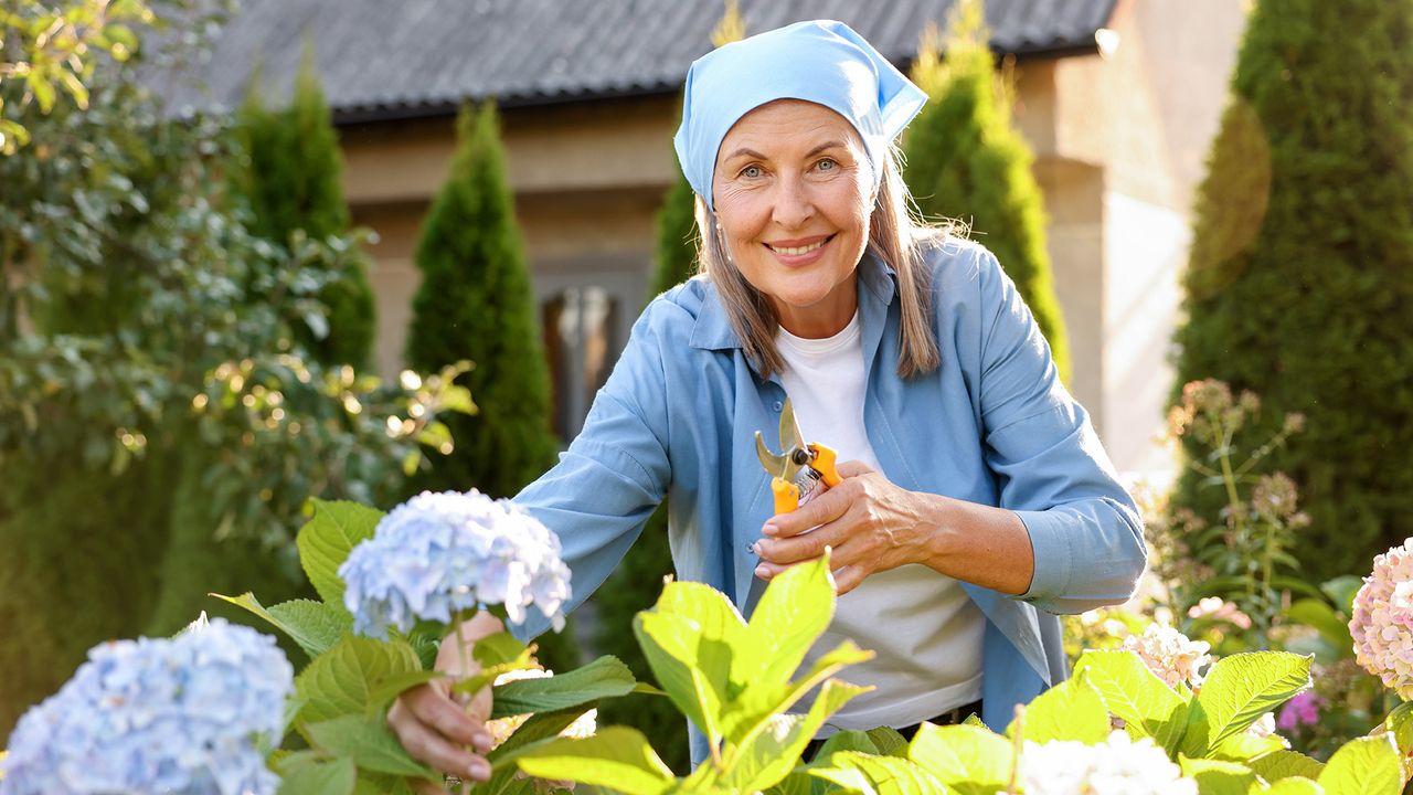 Stop buying cheap garden soil and tools: An expert shares where to splurge