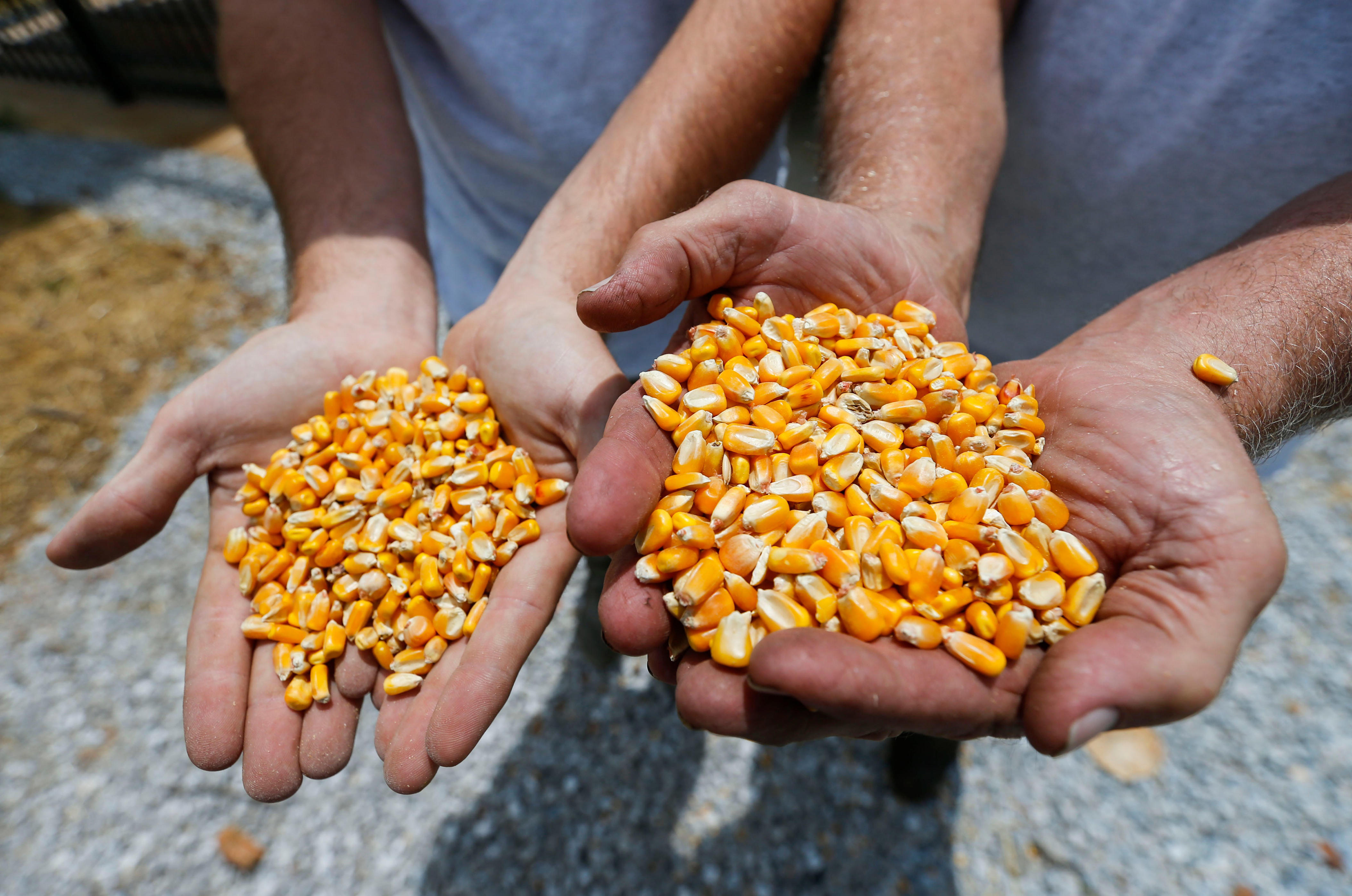 Missouri farmers facing higher fuel, fertilizer costs from Iran war