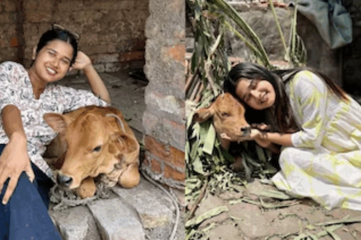 She Made Internet Smile With Her Pets. Then A 'Relationship Pushed Her ...