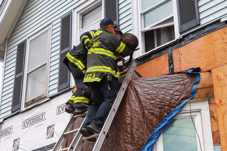 Dog rescued from the roof of a house in Berkshire County