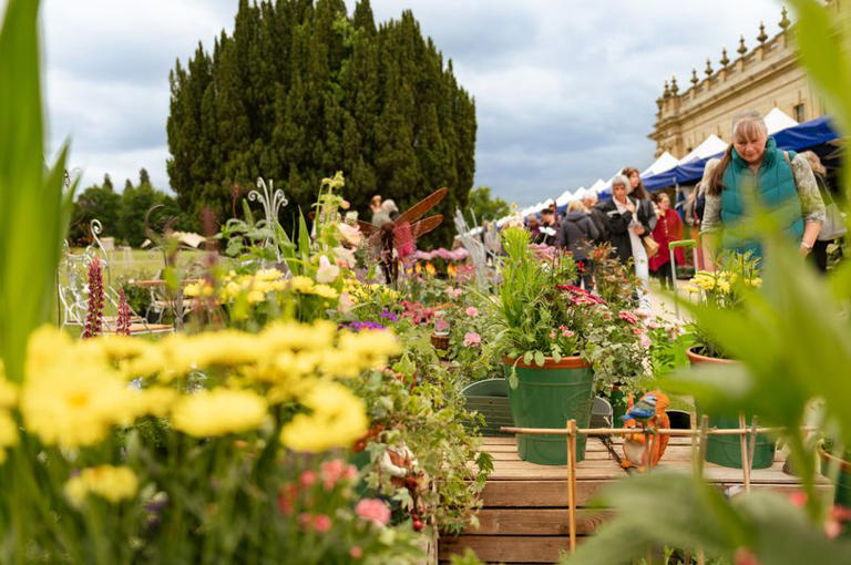 List of events to 'relax and reconnect with nature' at Chatsworth this ...