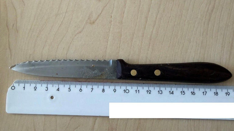 Messer-Mann (88) sorgt für Wega-Einsatz in Wien