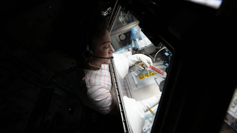 Why scientists are sending stem cells to space to fight cancer and ...