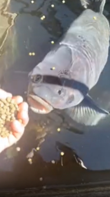 Fishing hacks experts don’t want you to know