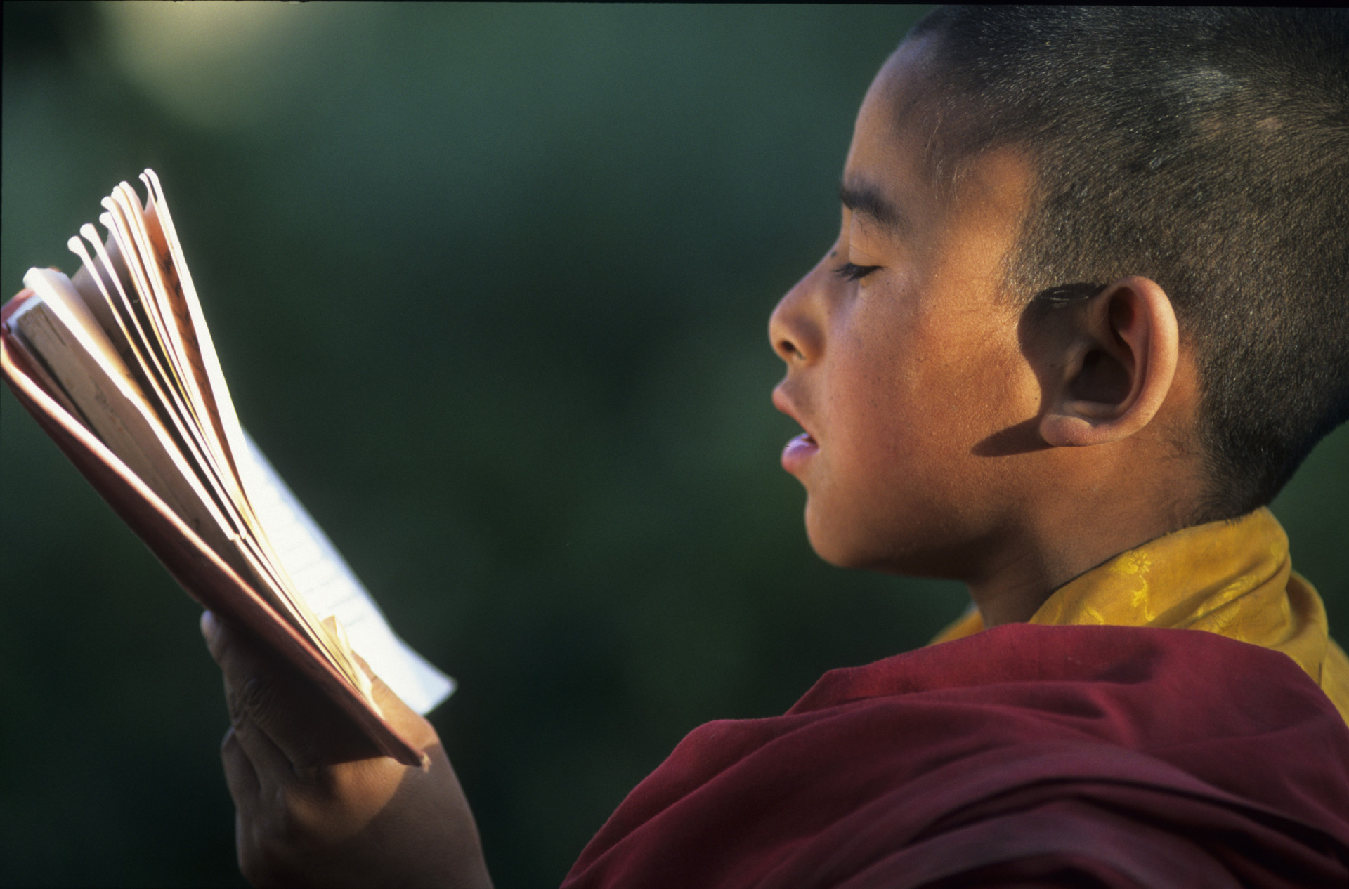 Countries with the highest and lowest literacy rates