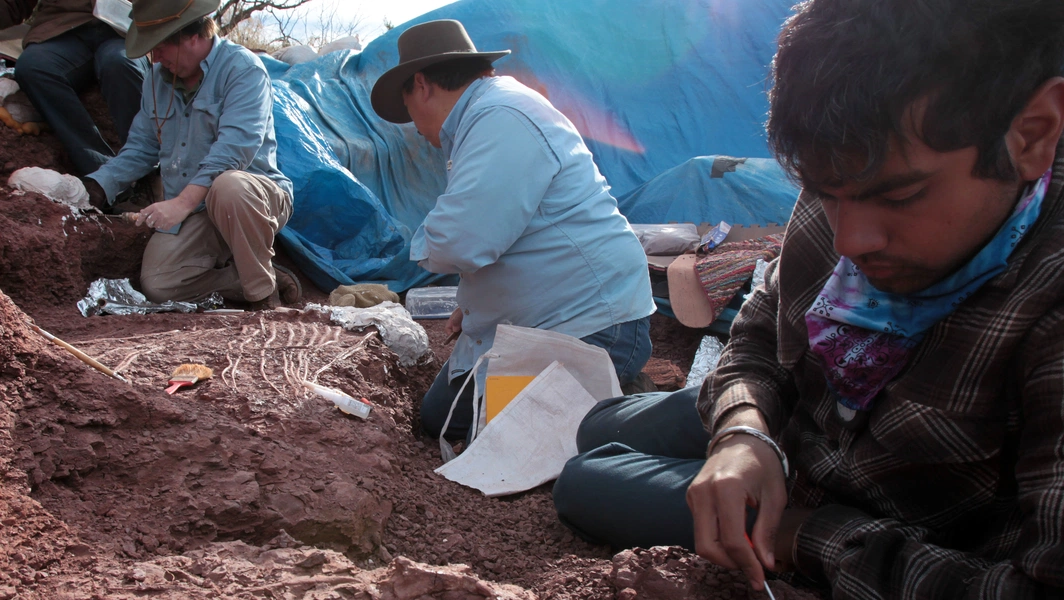 Kansas boy unearths 80-million-year-old marine fossil