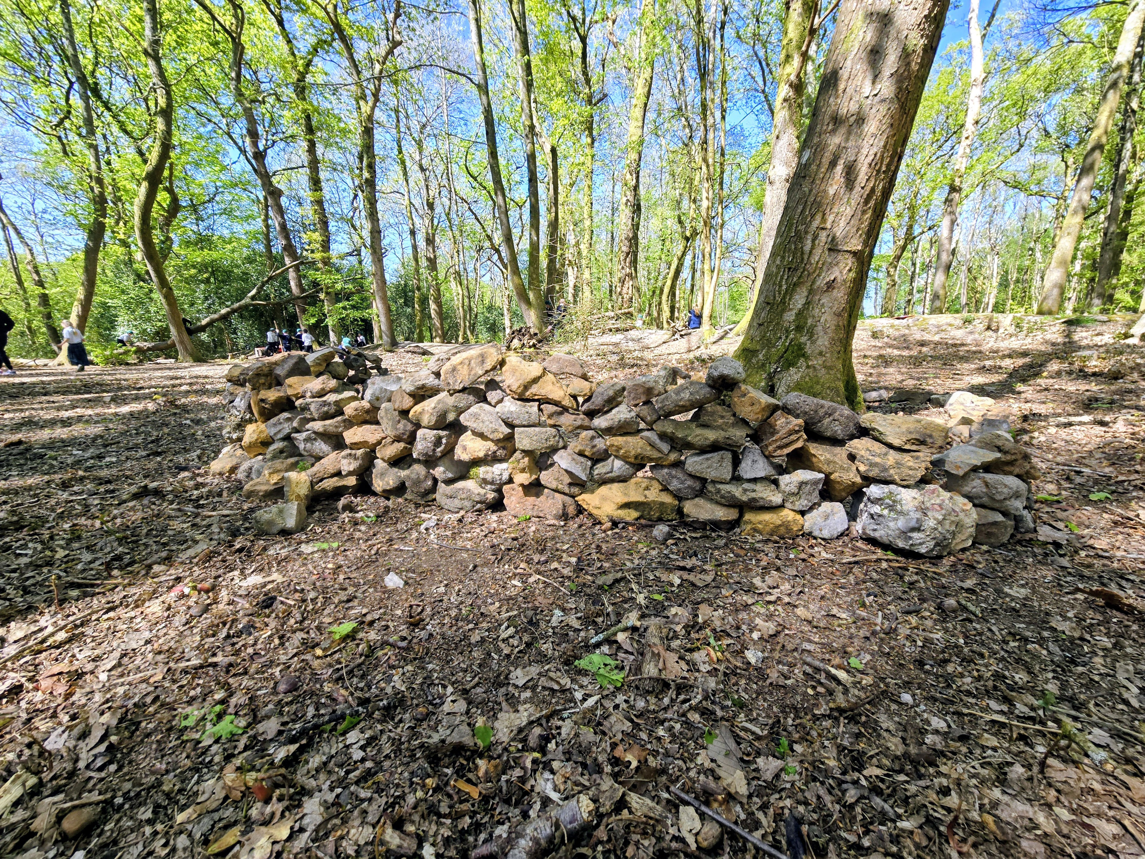 Liphook school achieves Woodland Trust Gold Award in environmental ...