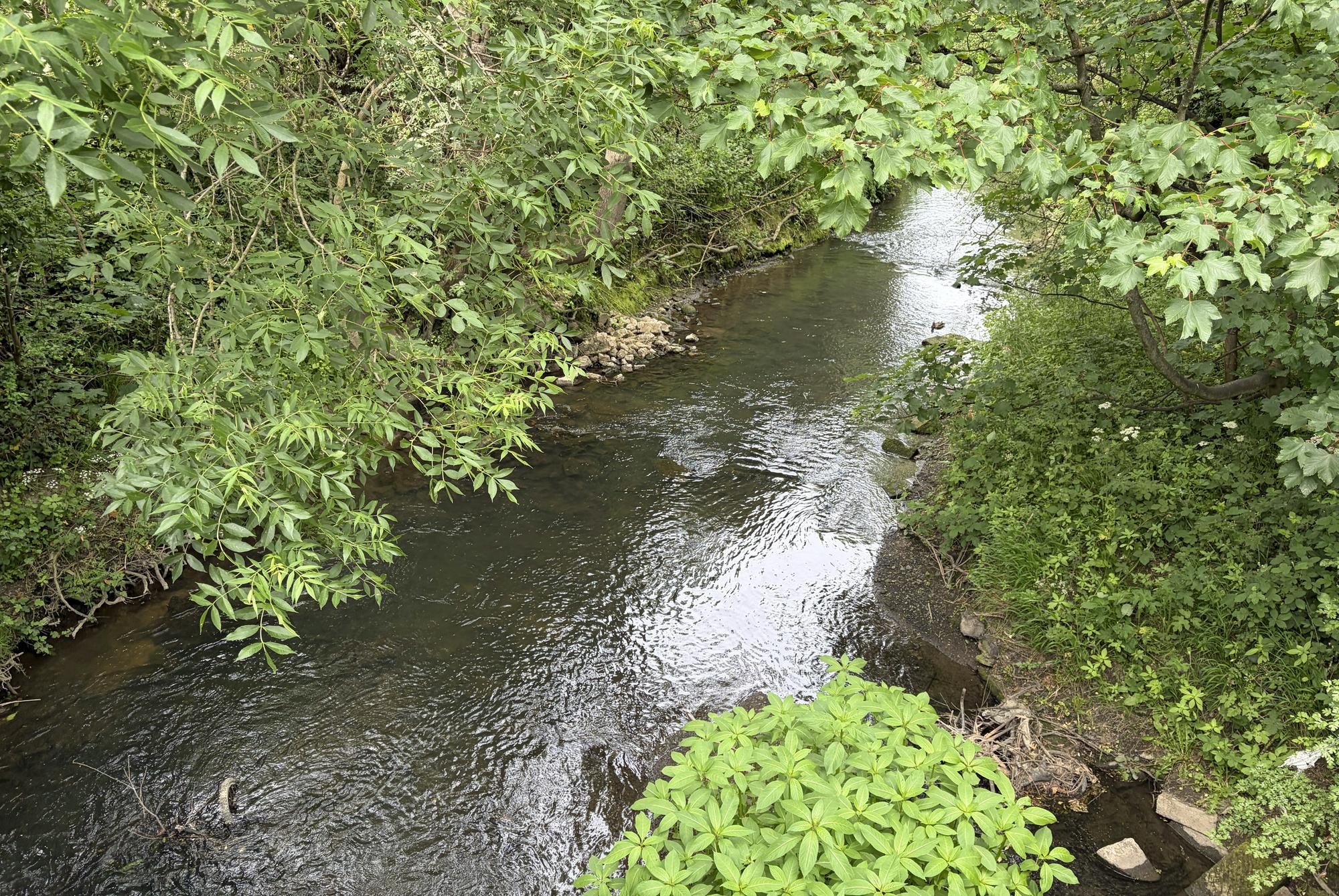 Sewage discharged into Chesterfield river Chesterfield for ten hours in ...