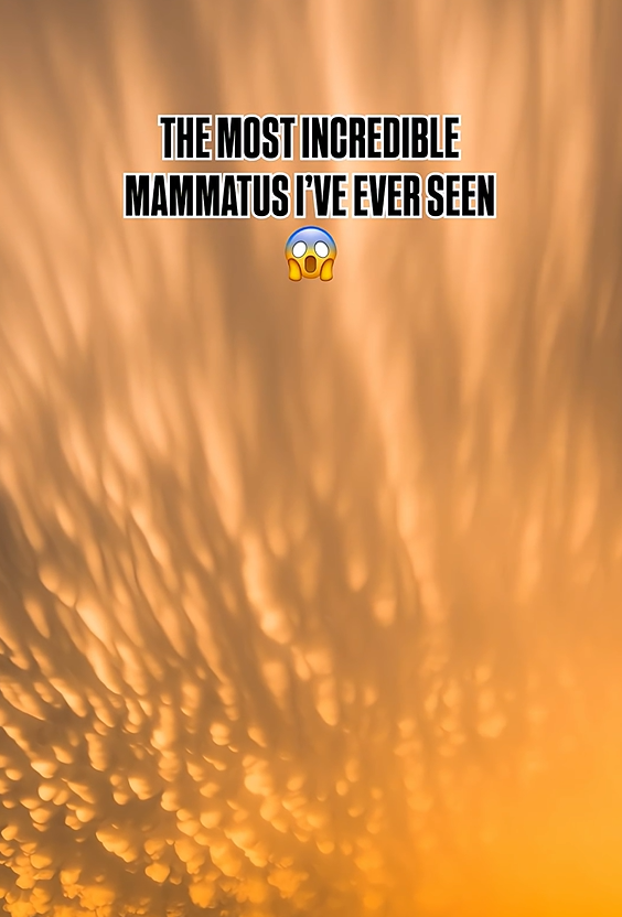 Stunning South Texas mammatus clouds at sunset | Nature time-lapse