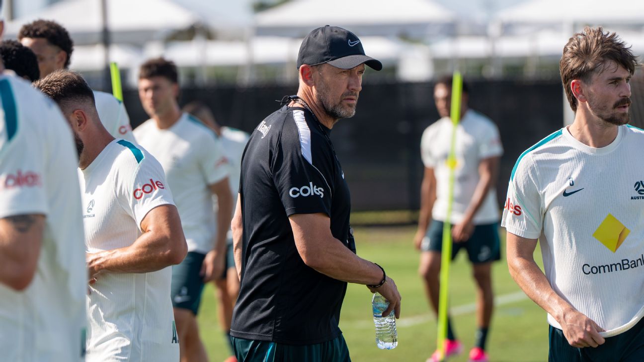 Socceroos' World Cup campaign 'starting to feel real' - Popovic