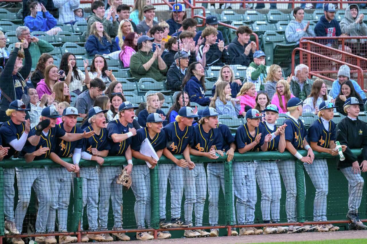 Averill Park dramatically claims Section 2 Class A baseball title over ...