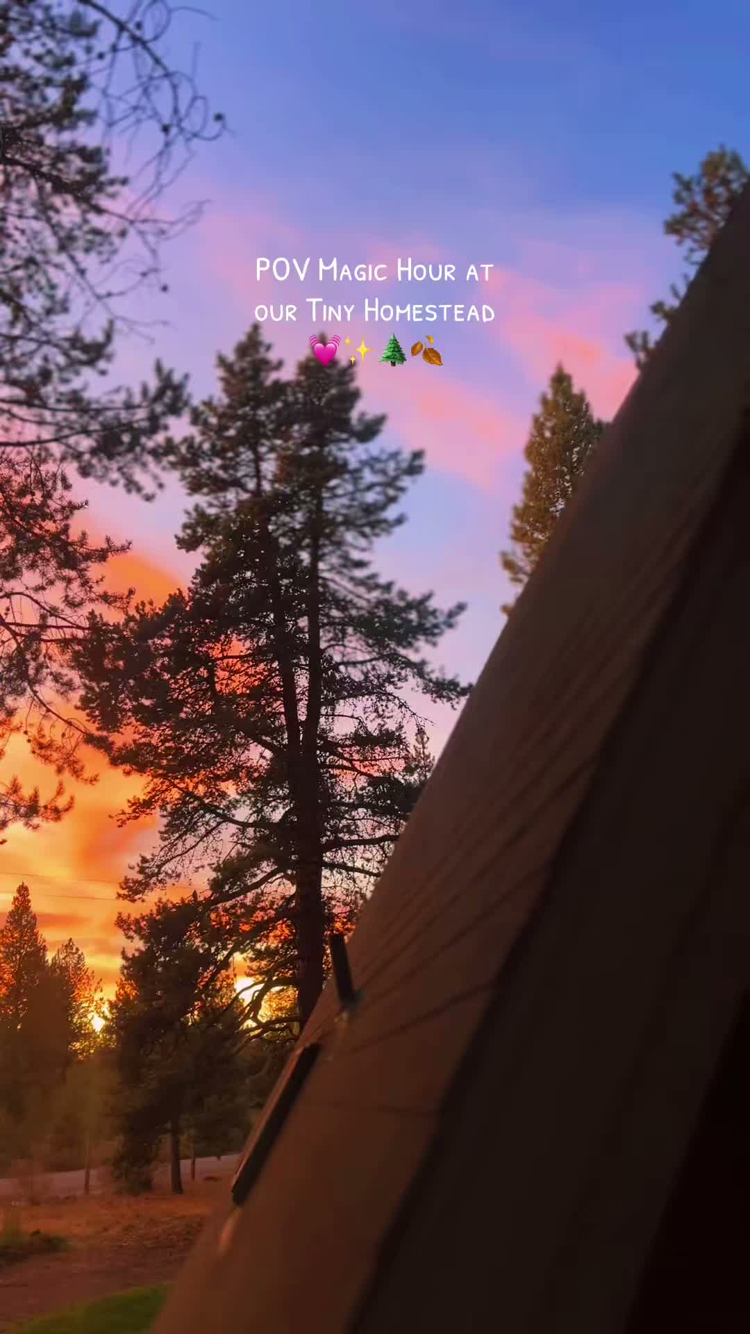 A sky full of colors over our cabin life