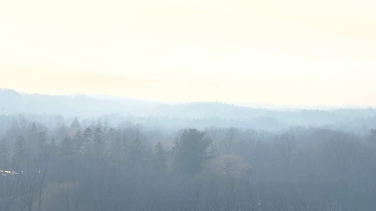 Not just bad for your lungs; air pollution damages your brain, McMaster ...
