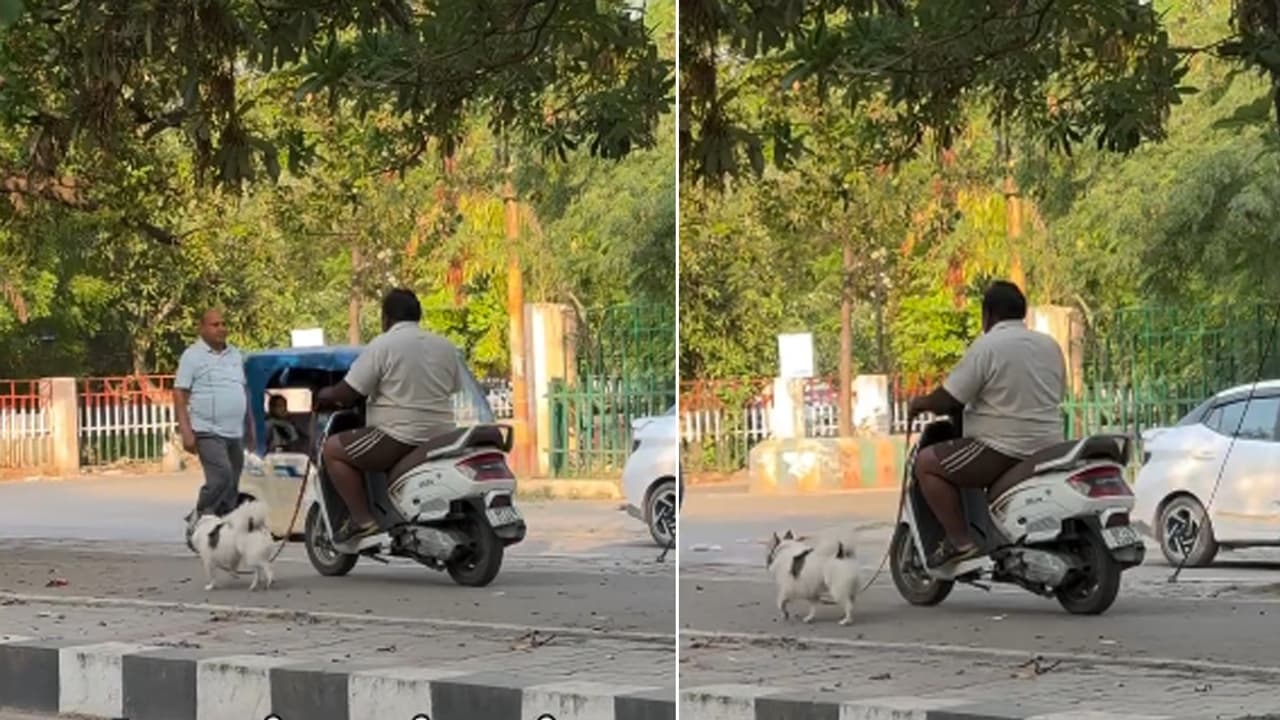 Viral Video: Lucknow Man Walks Dog While Riding Scooter, Internet Calls ...