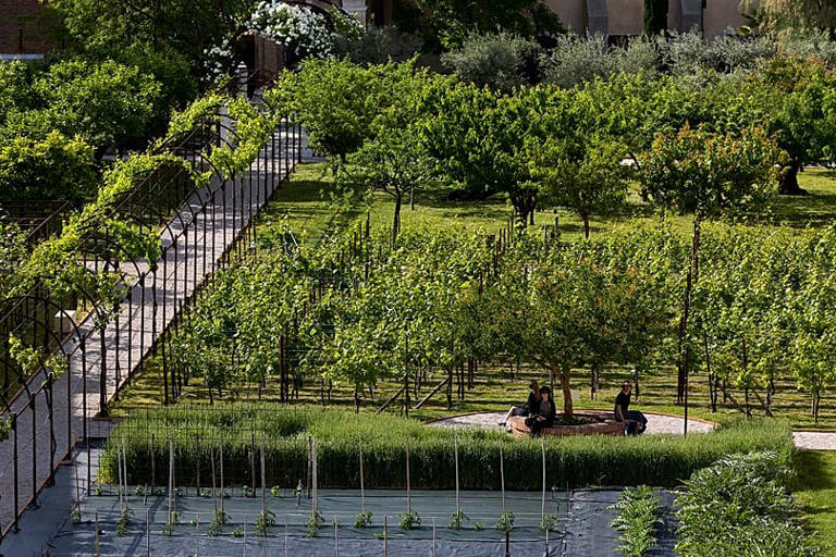 Biennale von Venedig: Patti Smith und Soundwalk Collective performen ...