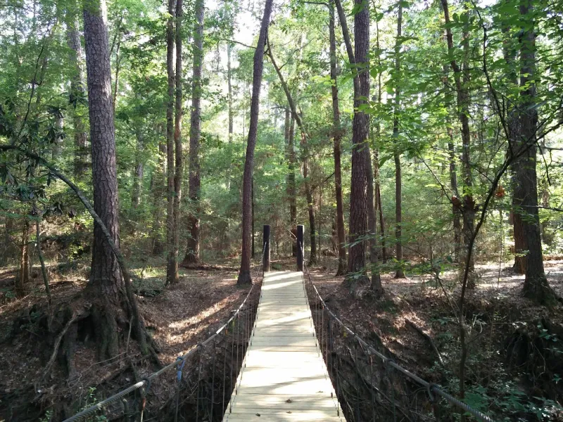 This 2.3-mile hike in Texas leads you to a swinging suspension bridge ...
