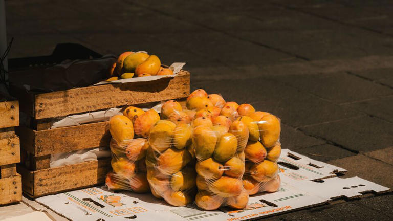 Big blow to Indian exporters as Japan bans Indian mango imports after ...