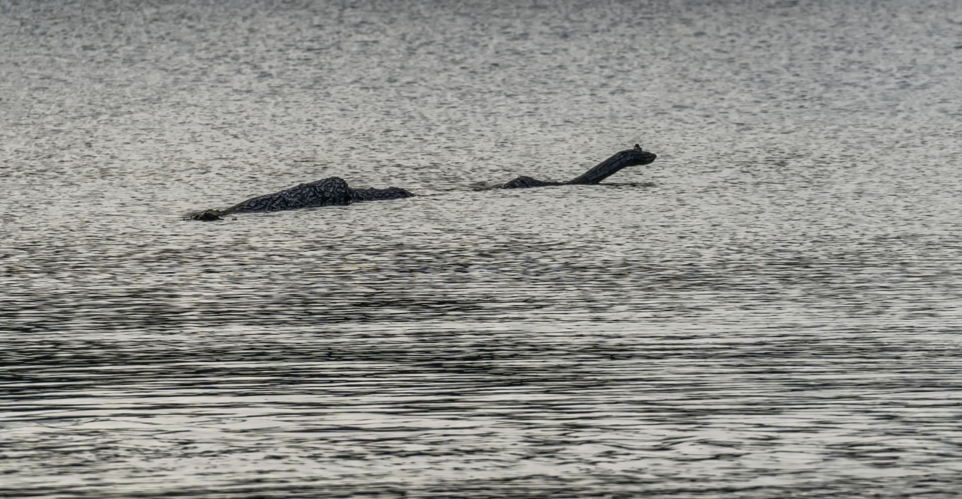 The Loch Ness monster and other British conspiracies