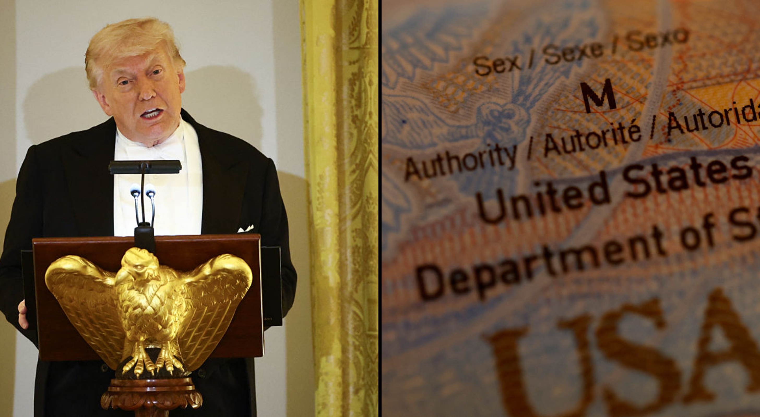 President Donald Trump’s face will soon be on US passports. Here’s how ...