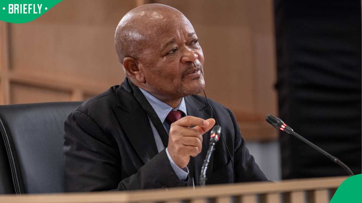 Ad hoc committee draft report flags Senzo Mchunu's conduct in ...