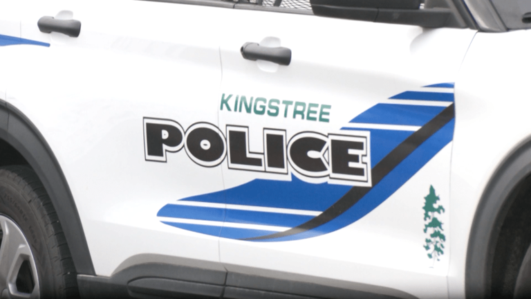 Kingstree police seeking suspects in 3 shoplifting cases