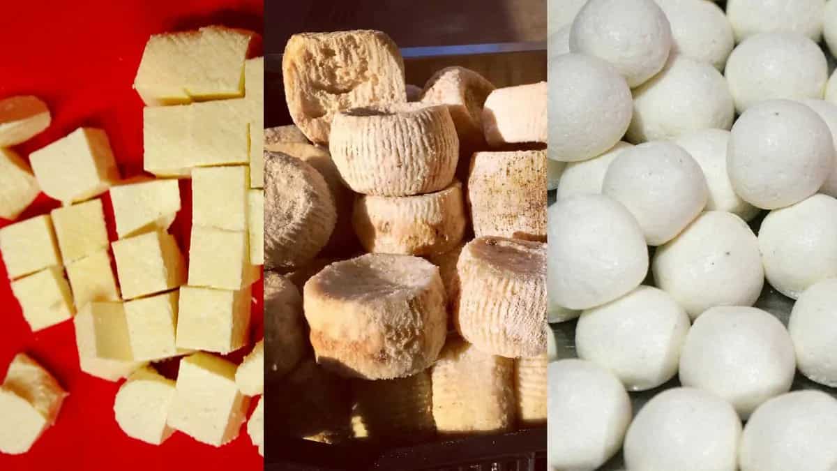 World Milk Day 2026: How paneer, ricotta & chhenna take shape