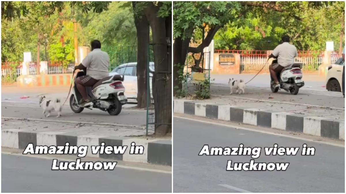 Lucknow man's 'Nawaabi style' pet walk on scooter goes viral