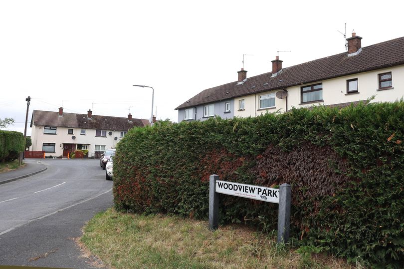 Police appeal after petrol bomb thrown at Co Armagh house