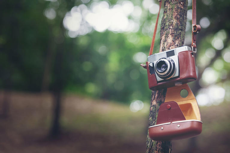 Las impactantes imágenes del GDT Nature Photographer of the Year 2026