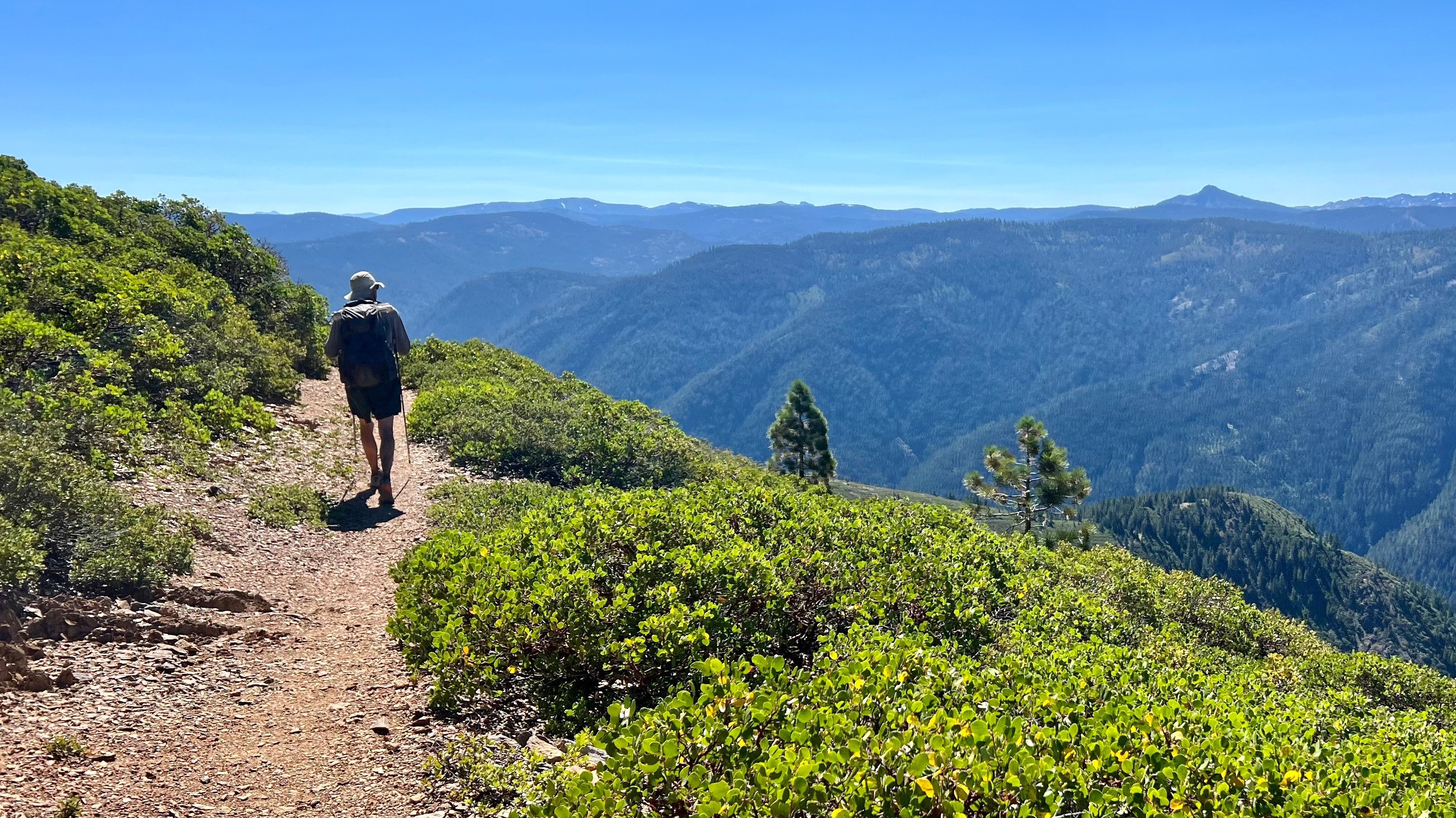 Wirus powalił dziesiątki turystów na kultowej trasie Pacific Crest Trail