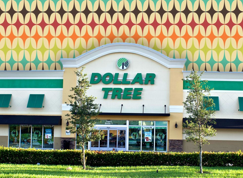 11 best Dollar Tree home organization finds flying off shelves