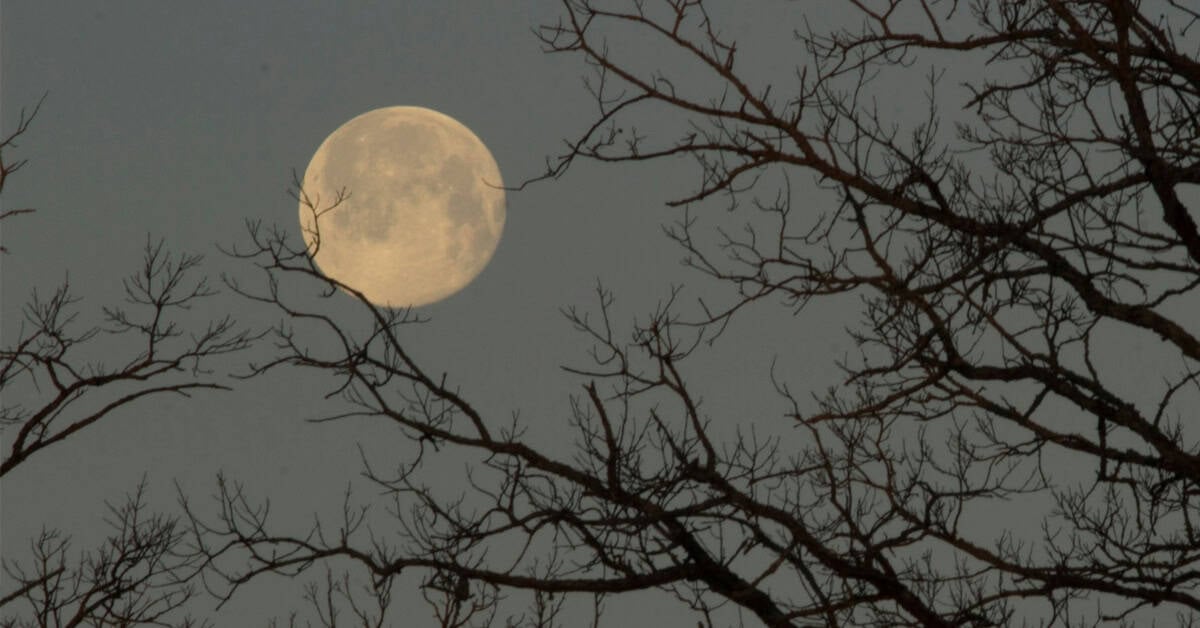 A rare blue moon arrives this weekend, then vanishes until 2028