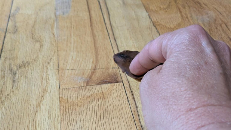Avoid using this common kitchen scrap for floor scuff marks - we know ...