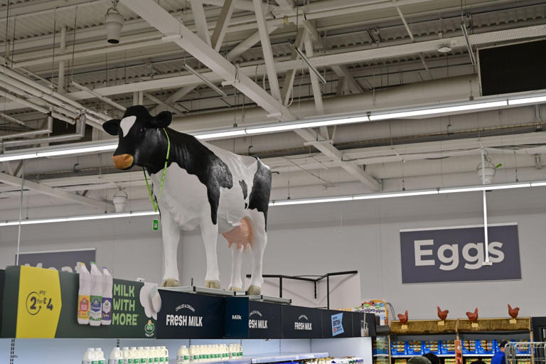 Asda confirms Daisy the cow is finally making a major comeback