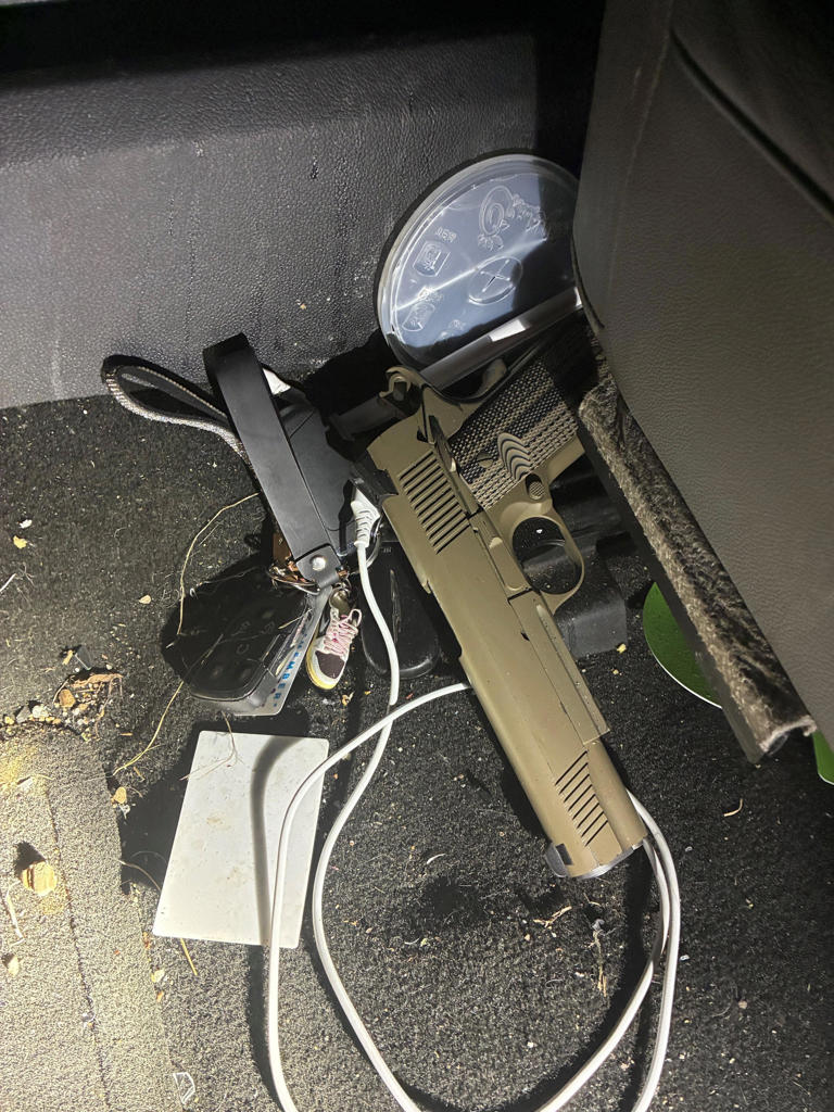 Indianapolis police shoot homicide suspect following pursuit