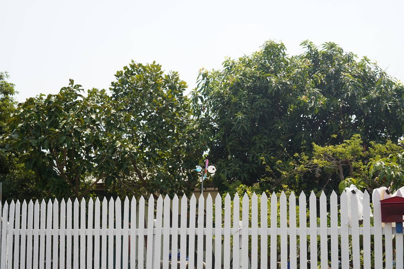 Law explained after neighbours send workmen into man's garden