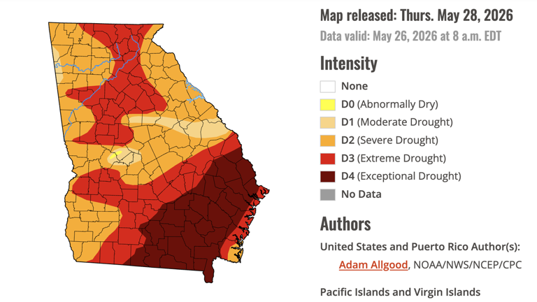 Storms bring Georgia some drought relief
