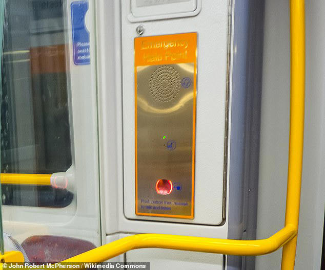 Watch as a woman chases her alleged groper from a Sydney train as ...